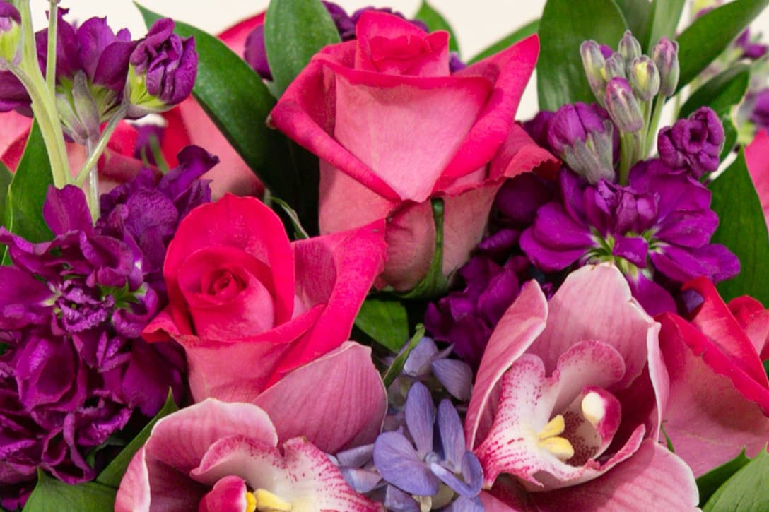 Online Flower Delivery | Same Day Delivery | French Florist